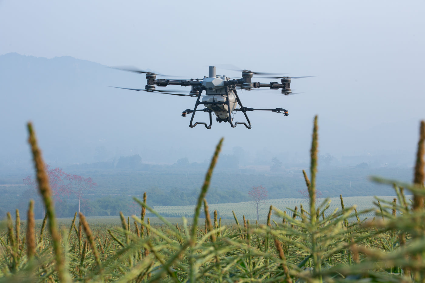 DJI Agras T100 Ag Drone Kit for Sale | FlyingAg