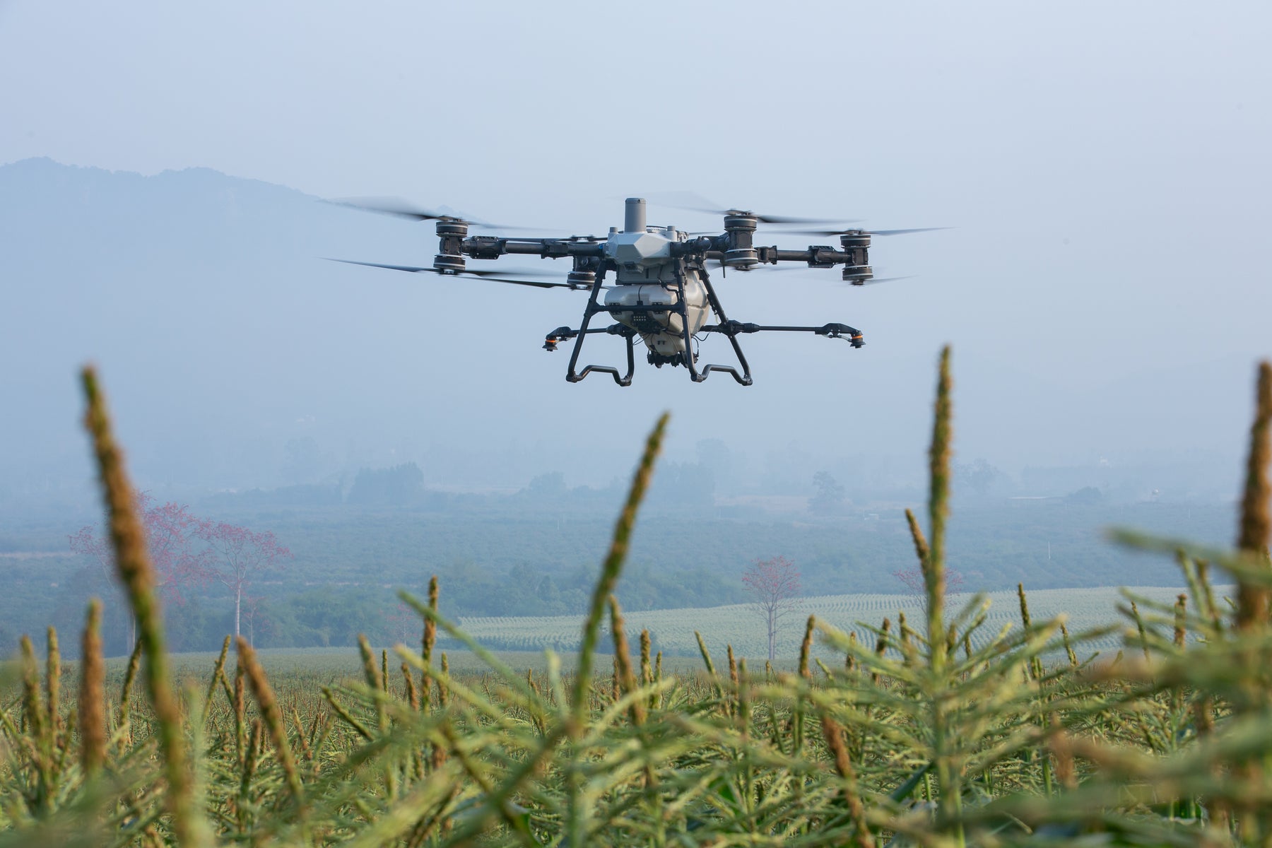 DJI Agras T100 Ag Drone Kit for Sale | FlyingAg